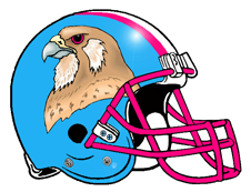 blue-falcons-football-helmet-fantasy-logo-image – Wally D. Fantasy Football