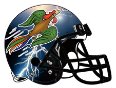 lightning-chicken-logo-fantasy-football – Wally D. Fantasy Football