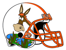 swamp-donkeys-fantasy-football-team-helmet – Wally D. Fantasy Football