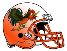 wild-rooster-fantasy-football-helmet – Wally D. Fantasy Football